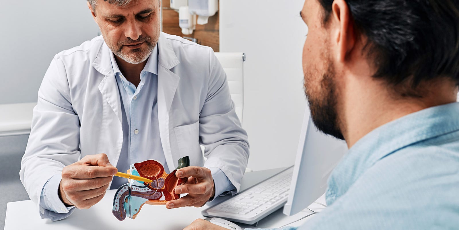 Prostata: Funktion, Beschwerden & Vorsorge | Sanitas Magazin